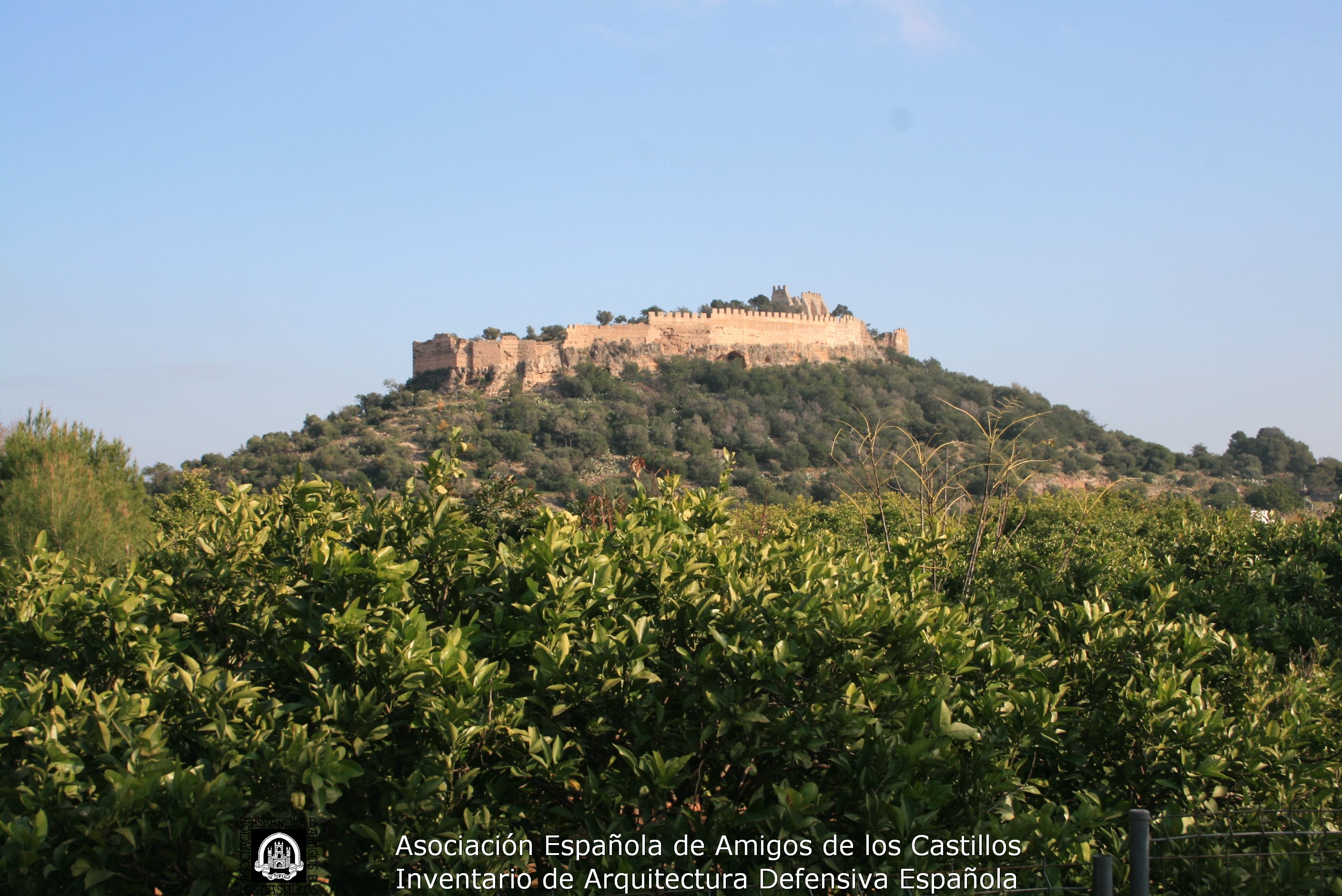 Corbera, Castillo de | Asociación española de amigos de los Castillos ...